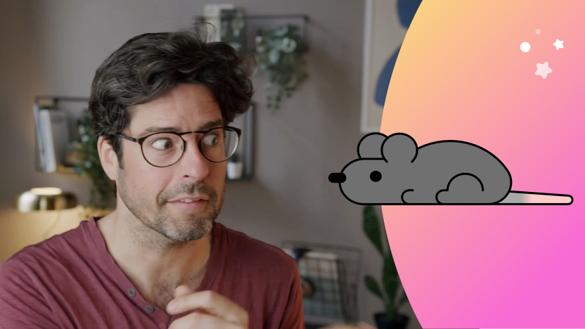 Streams Video • Chatterbug