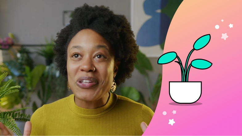 Streams Video • Chatterbug